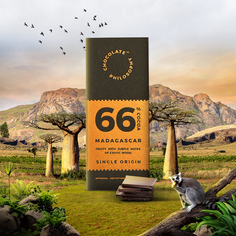 Single Origin Chocolates – Chocolate Philosophy